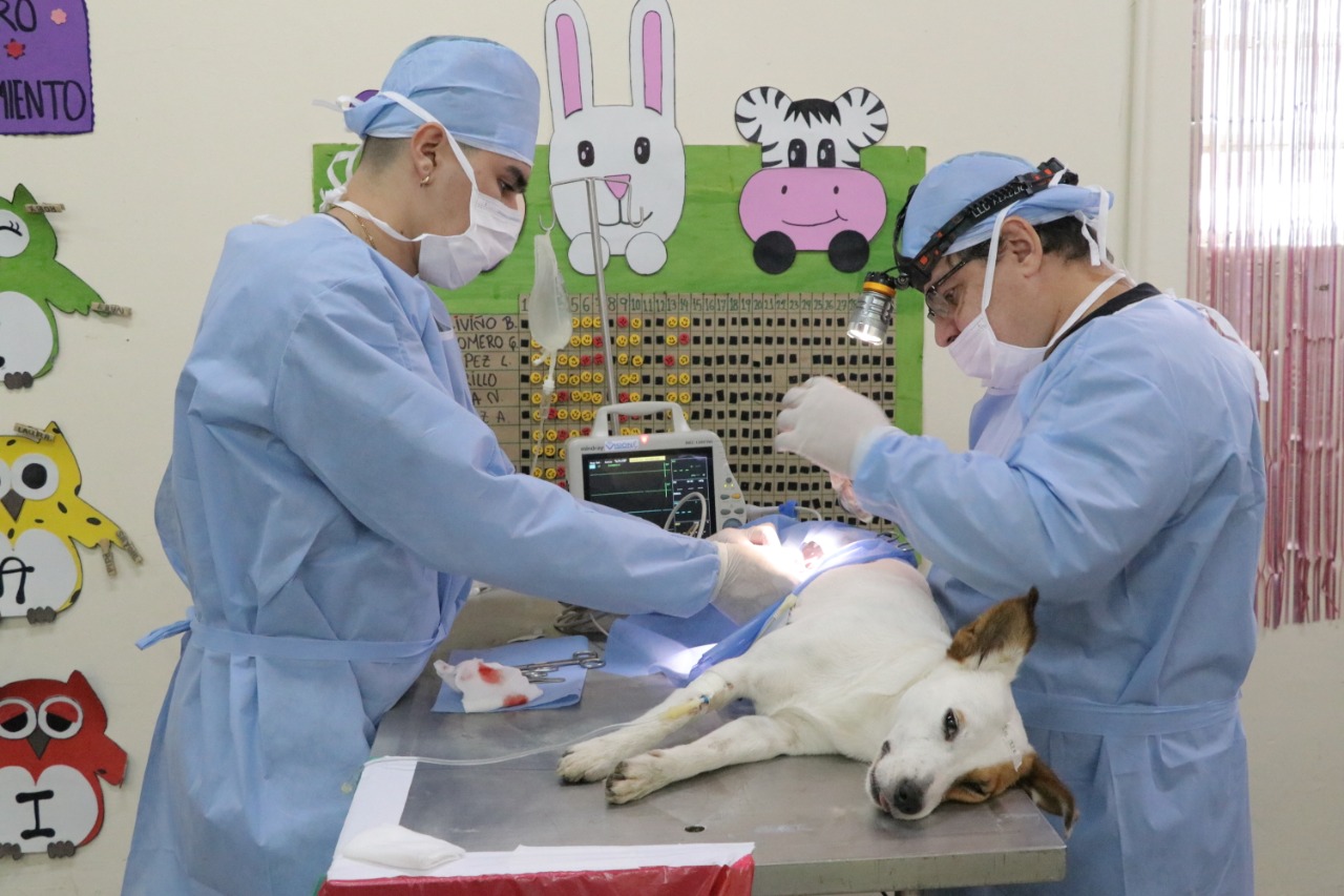 Sede Electrónica Dosquebradas